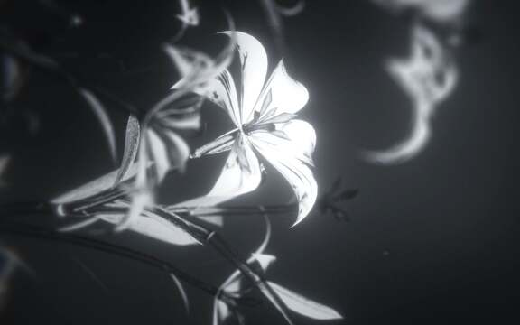 Record Stellar Bloom - Cytoid